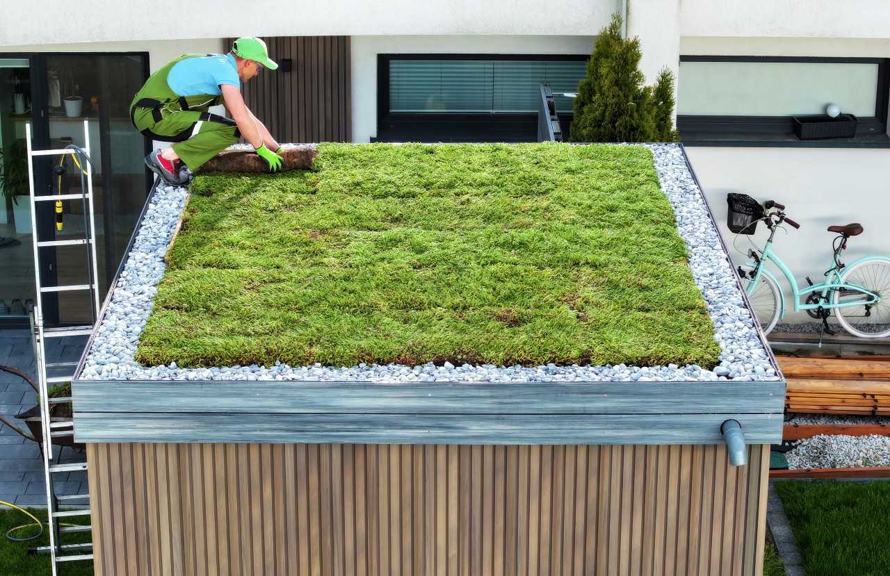 Green Roofing: Types and Benefits - Bringman Roofing